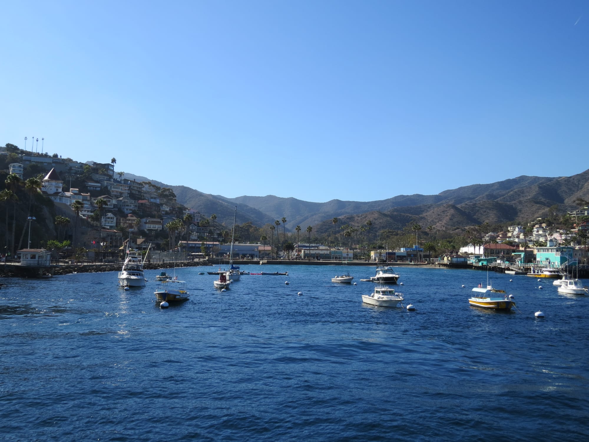 Catalina Island – Hiking Destination